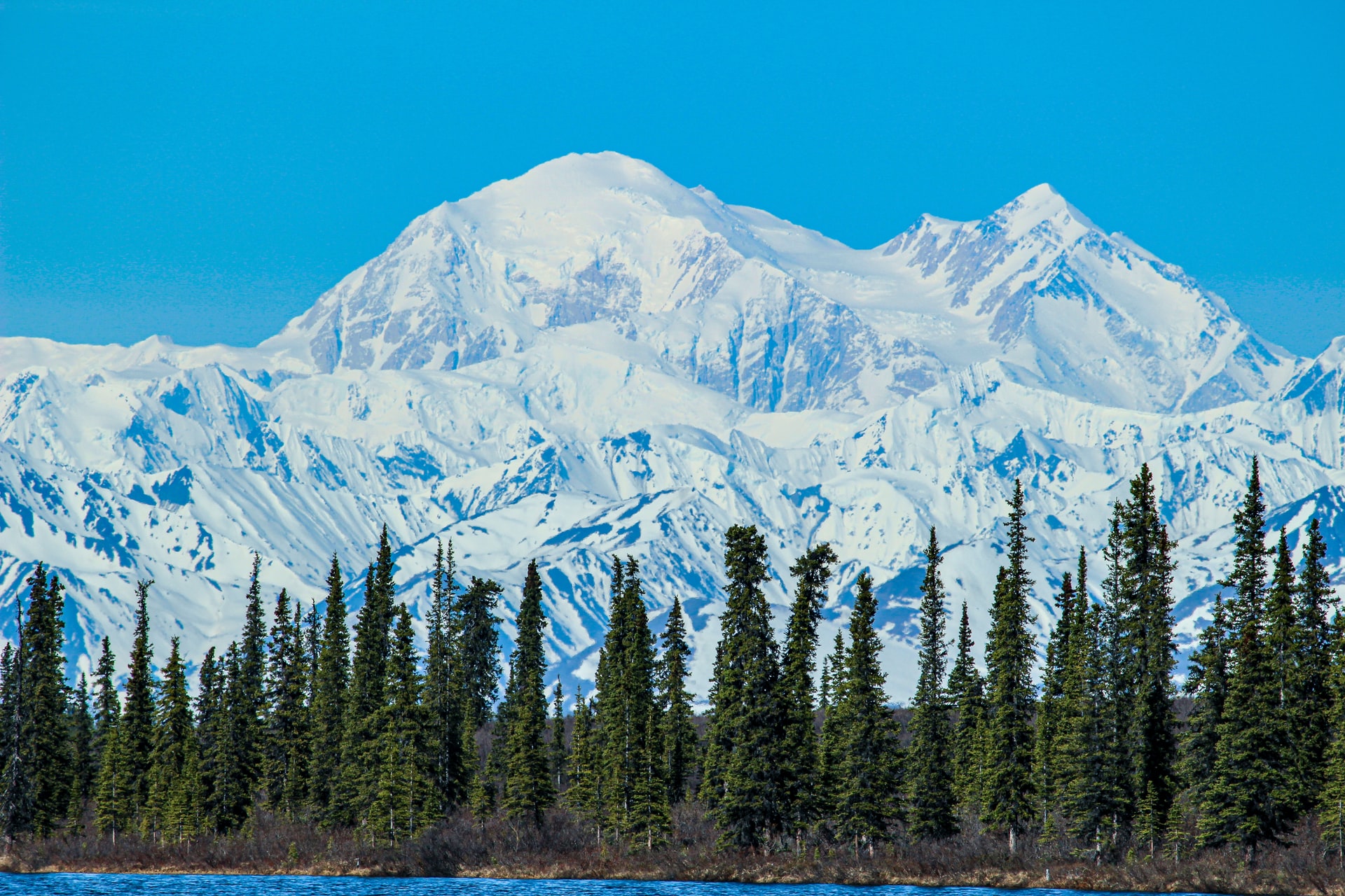 Top 5 Best Things To Do In Denali National Park - The Backpacking Site